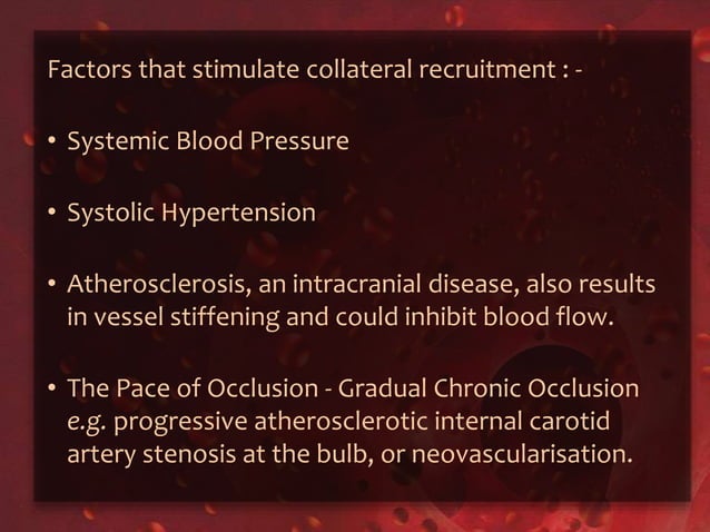 Collateral Blood Flow Dynamics in Stroke | PPT