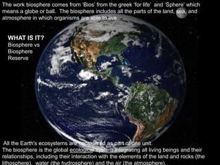 Noosa Biosphere Review Presentation 1 - Vision | PPTX