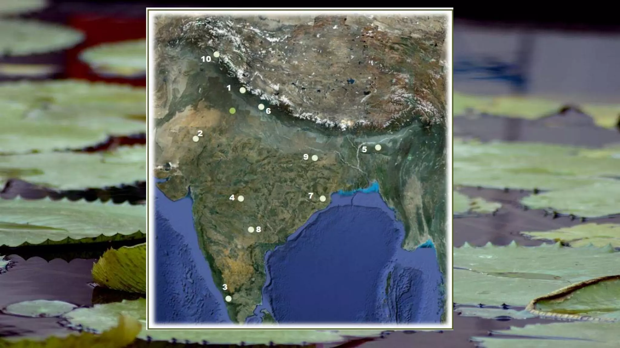 NBPGR-National Bureau of plant genetic Resources. | PPTX