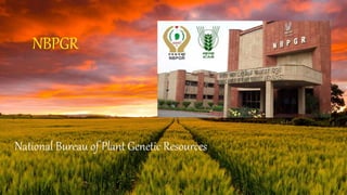 NBPGR-National Bureau of plant genetic Resources. | PPTX
