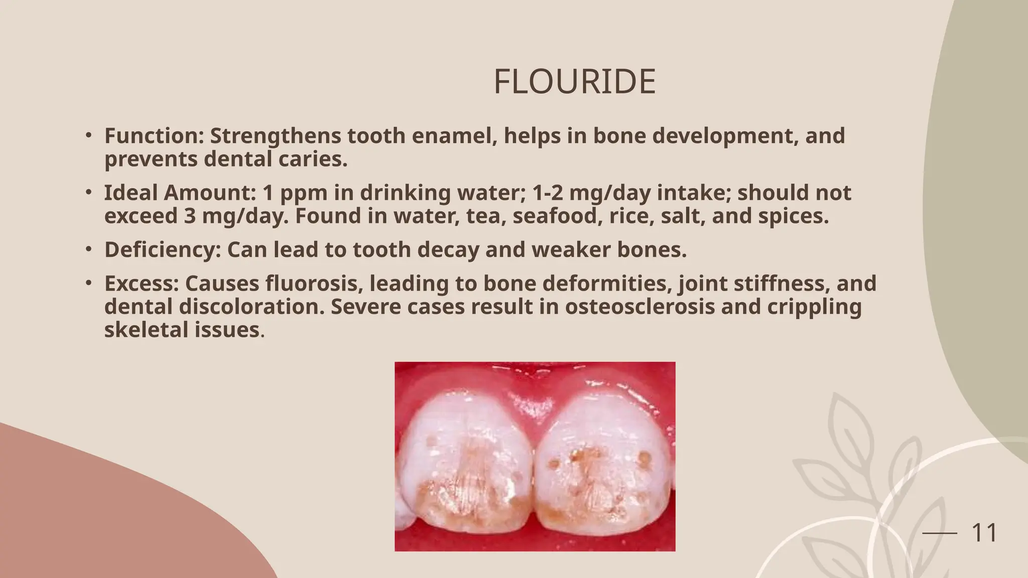 NB PPT.pptx mineral.metabolism nd oral aspect | PPTX