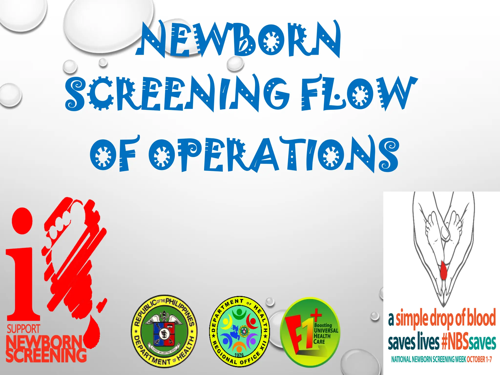 NBS-FLOW-OF-OPERATIONS-Studs0-copy.pdfff | PDF