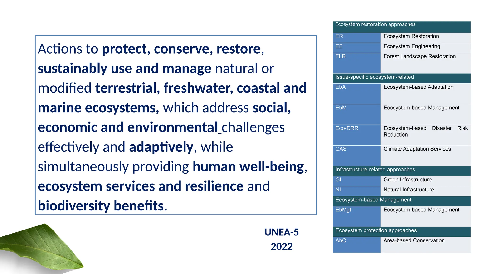 nature based solution for disaster management prevention | PPTX