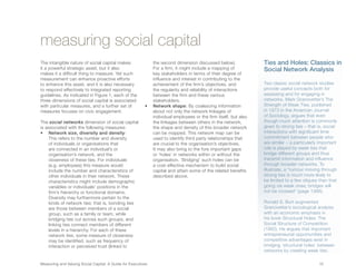 Measuring and Valuing Social Capital: A Guide for Executives | PDF