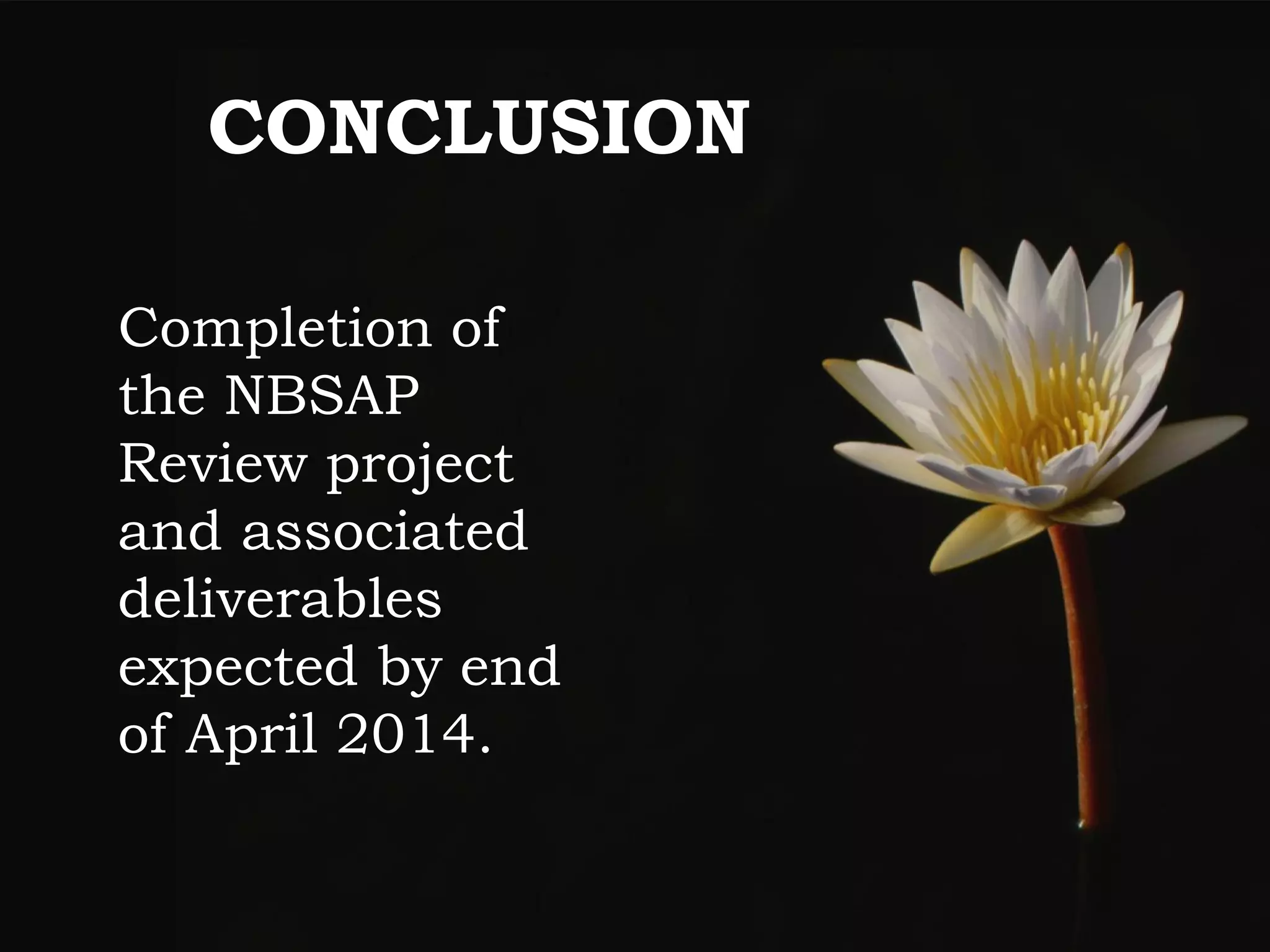 National Biodiversity Strategies & Action Plans 2.0: Lessons learned ...