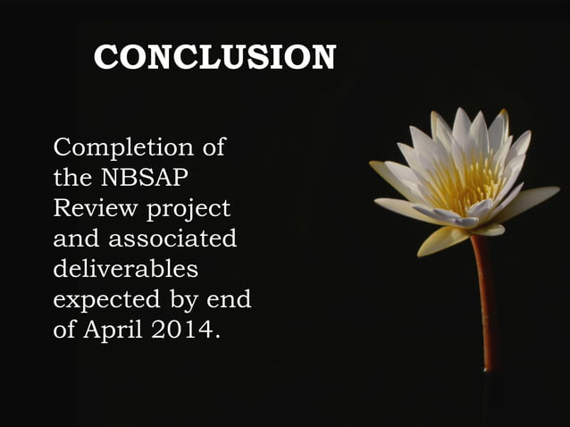 National Biodiversity Strategies & Action Plans 2.0: Lessons learned ...