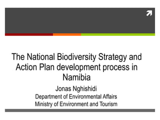 National Biodiversity Strategies & Action Plans 2.0: Lessons learned ...
