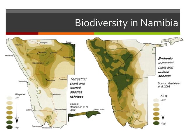 National Biodiversity Strategies & Action Plans 2.0: Lessons learned ...