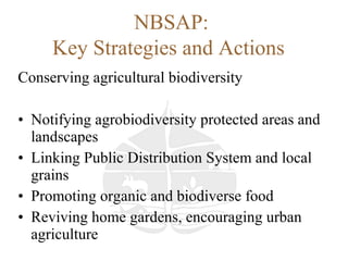 Biodiversity Conservation, Sustainability, and Equity: India's NBSAP ...