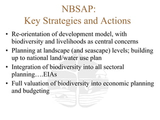 Biodiversity Conservation, Sustainability, and Equity: India's NBSAP ...
