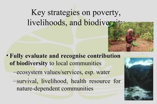 Biodiversity Conservation, Sustainability, and Equity: Outcomes of ...
