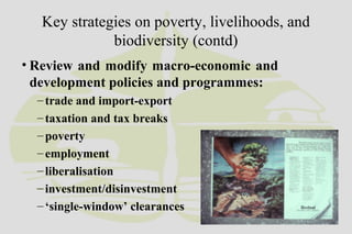 Biodiversity Conservation, Sustainability, and Equity: Outcomes of ...