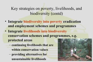 Biodiversity Conservation, Sustainability, and Equity: Outcomes of ...