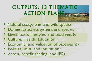 Biodiversity Conservation, Sustainability, and Equity: Outcomes of ...