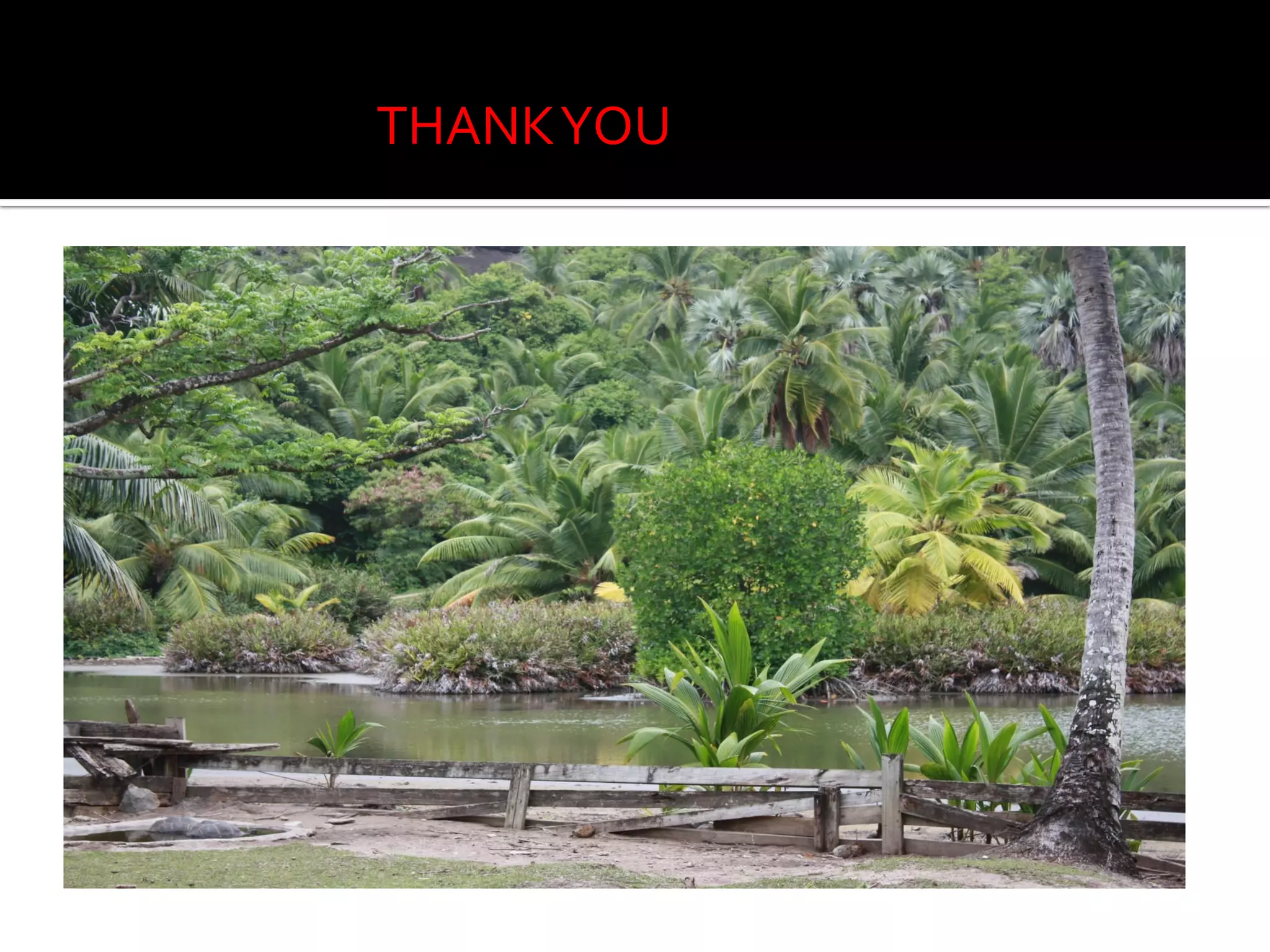 National Biodiversity Strategies & Action Plans 2.0: Lessons learned ...