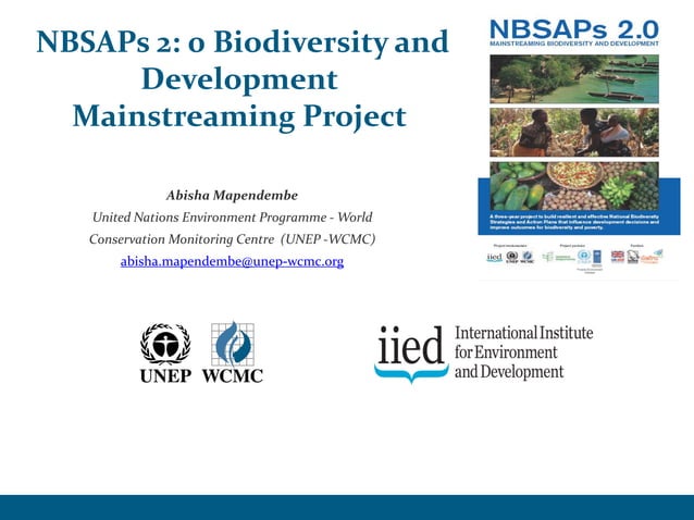 National Biodiversity Strategies & Action Plans 2.0: Project overview | PPT
