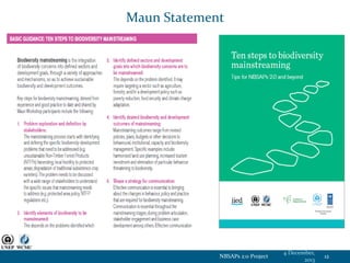 National Biodiversity Strategies & Action Plans 2.0: Project overview | PDF