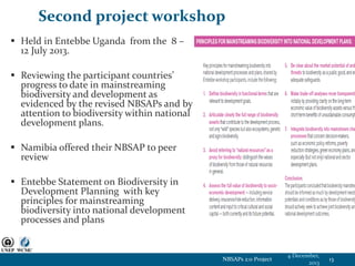 National Biodiversity Strategies & Action Plans 2.0: Project overview | PDF