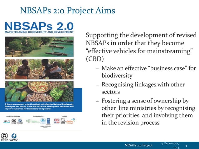 National Biodiversity Strategies & Action Plans 2.0: Project overview | PPT