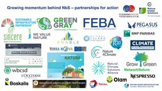 Azerbaijan NbS workshop 2023 James Dalton ENG.pdf | Free Download