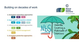 Azerbaijan NbS workshop 2023 James Dalton ENG.pdf | Free Download