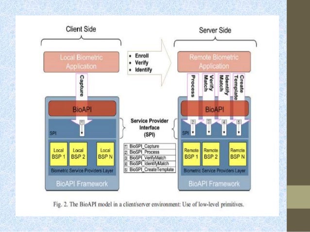 A multiplatform Java wrapper for the BioAPI framework