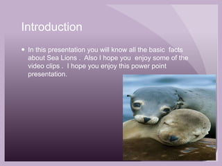 Sea Lions | PPTX