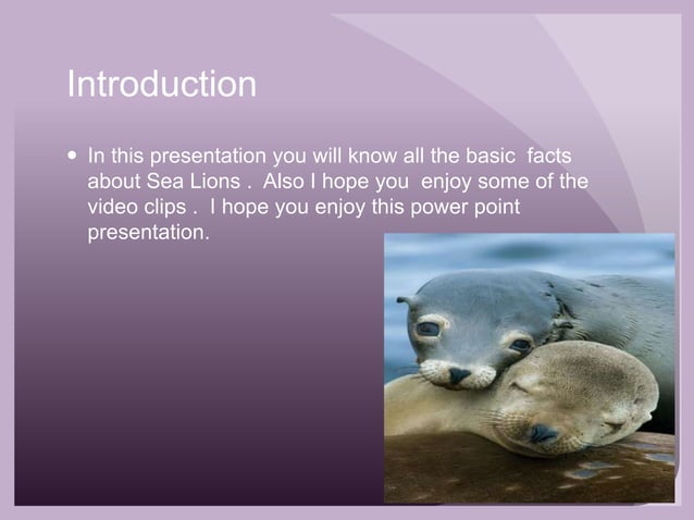 Sea Lions | PPTX | Zoos & Aquariums | Attractions