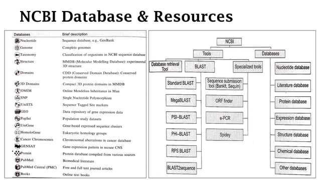 NCBI National Center for Biotechnology Information | PDF