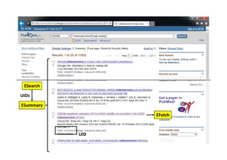 NCBI API - Integration into analysis code | PPT