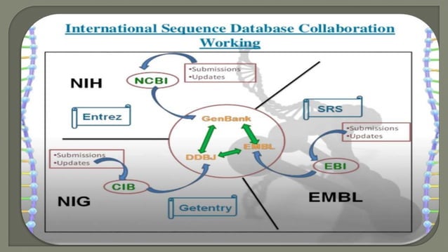 NCBI Database.pptx | Databases | Computer Software and Applications