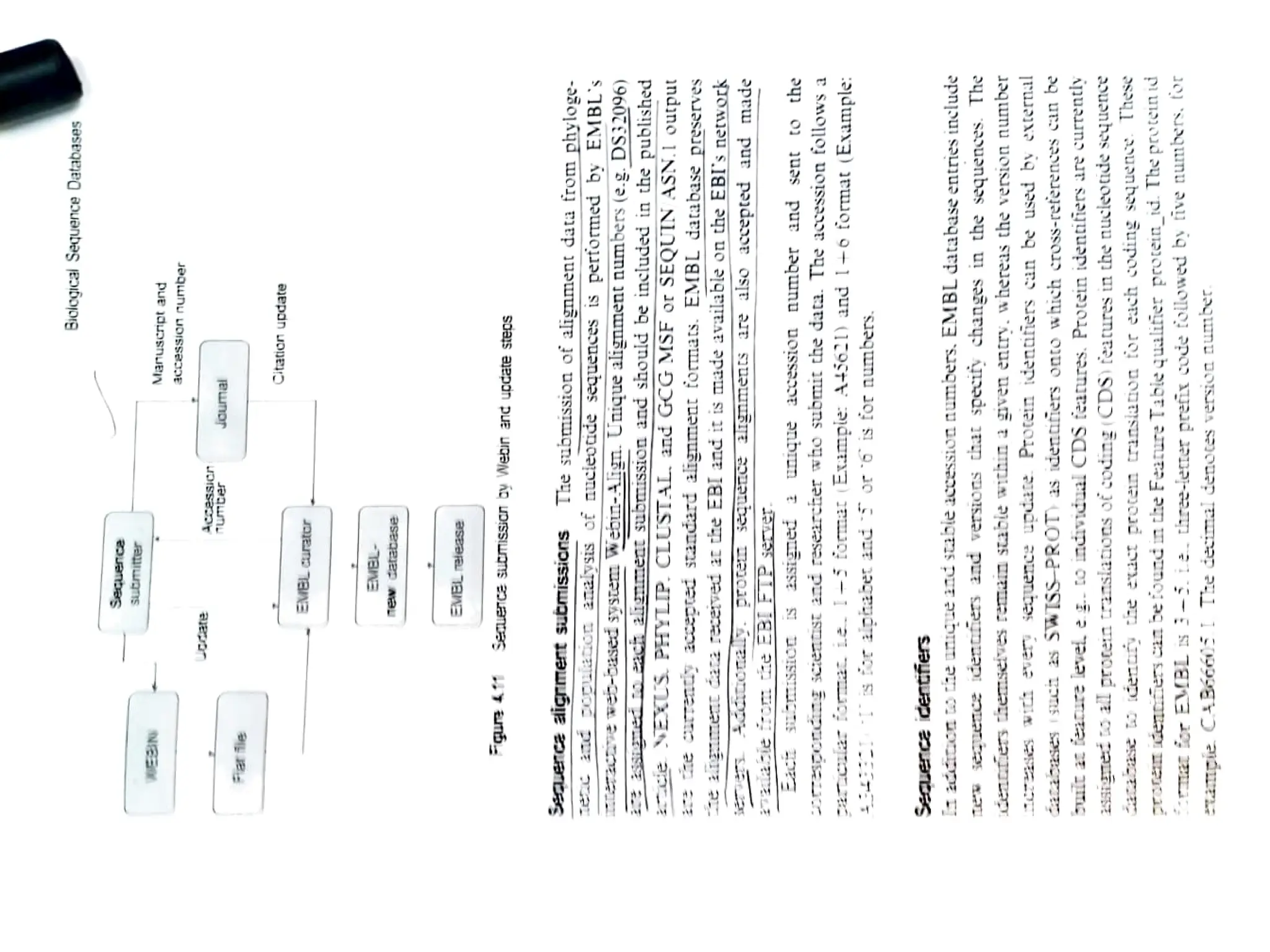 ncbi embl notes bioinformatics unit notes | PDF