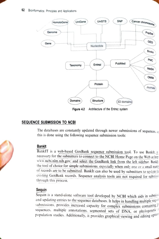 ncbi embl notes bioinformatics unit notes | PDF