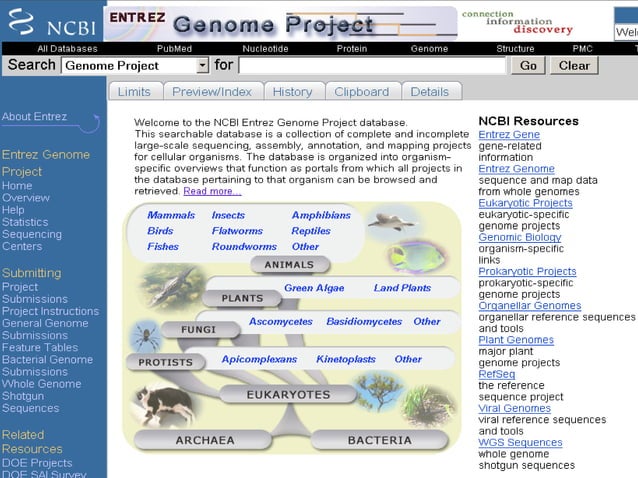 NCBI | PPT | Databases | Computer Software and Applications