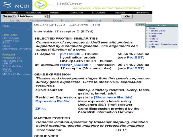 NCBI | PPT | Databases | Computer Software and Applications