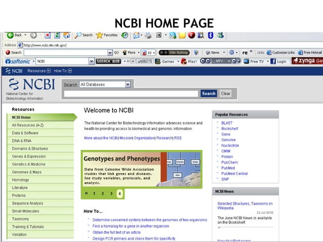 NCBI | PPT | Databases | Computer Software and Applications