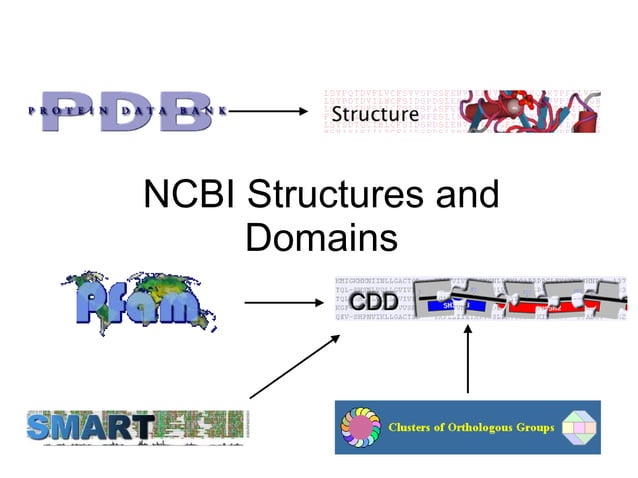 NCBI | PPT | Databases | Computer Software and Applications