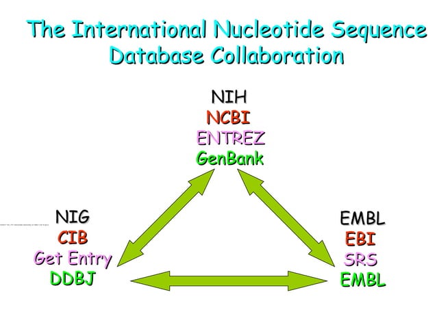 NCBI | PPT | Databases | Computer Software and Applications