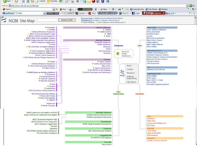 NCBI | PPT | Databases | Computer Software and Applications