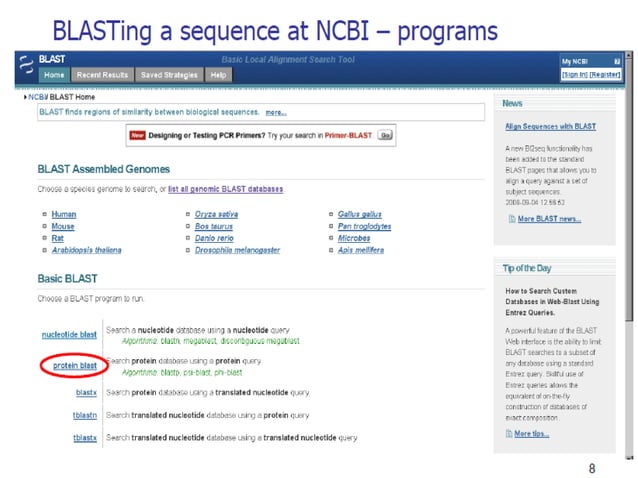NCBI | PPT | Databases | Computer Software and Applications
