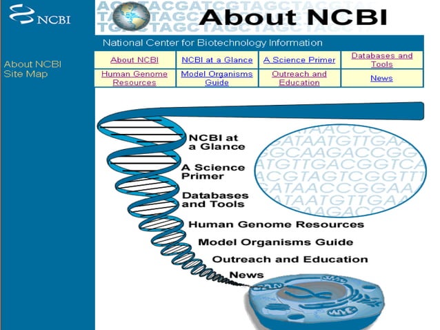 NCBI | PPT | Databases | Computer Software and Applications