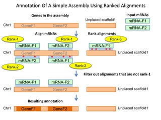The NCBI Eukaryotic Genome Annotation Pipeline and Alternate Genomic ...