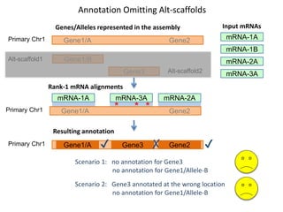 The NCBI Eukaryotic Genome Annotation Pipeline and Alternate Genomic ...