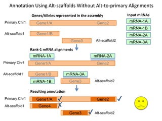 The NCBI Eukaryotic Genome Annotation Pipeline and Alternate Genomic ...