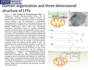 Sima Lev: Non-Vesicular Lipid Transport by Lipid-Transfer Proteins and ...