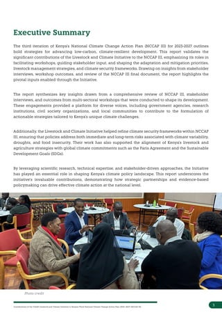 NCCAP III Outcome Report layout and design | PDF