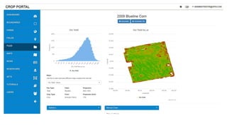 Precision Management - Nicole Rabe & Sarah Lepp | PPT