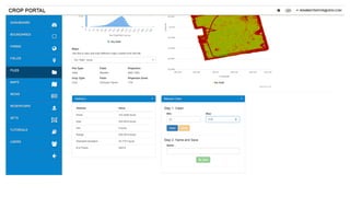 Precision Management - Nicole Rabe & Sarah Lepp | PPT