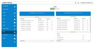 Precision Management - Nicole Rabe & Sarah Lepp | PPT