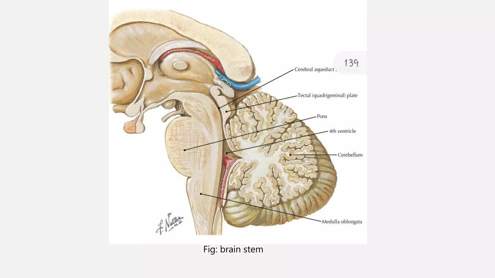 Ncct and cect brain and orbit | PPTX